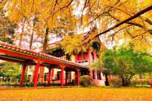 Nanjing Normal University: Programs, Admissions and Scholarships ...