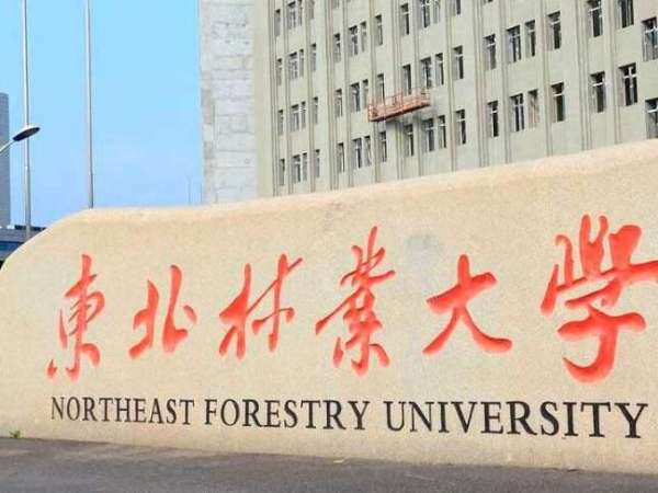 Northeast Forestry University: Program, Ranking and Campus Life – Apply ...