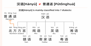 Mandarin vs Chinese: Language, Dialects & Scripts – Apply For China
